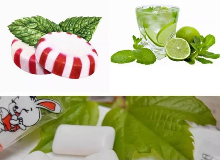 Menthol Crystal - Henan Chemger Group Corporation